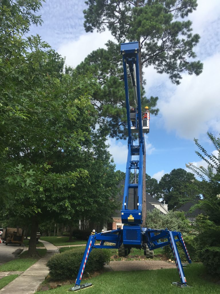 BLUELIFT B101 - Ruthmann Reachmaster